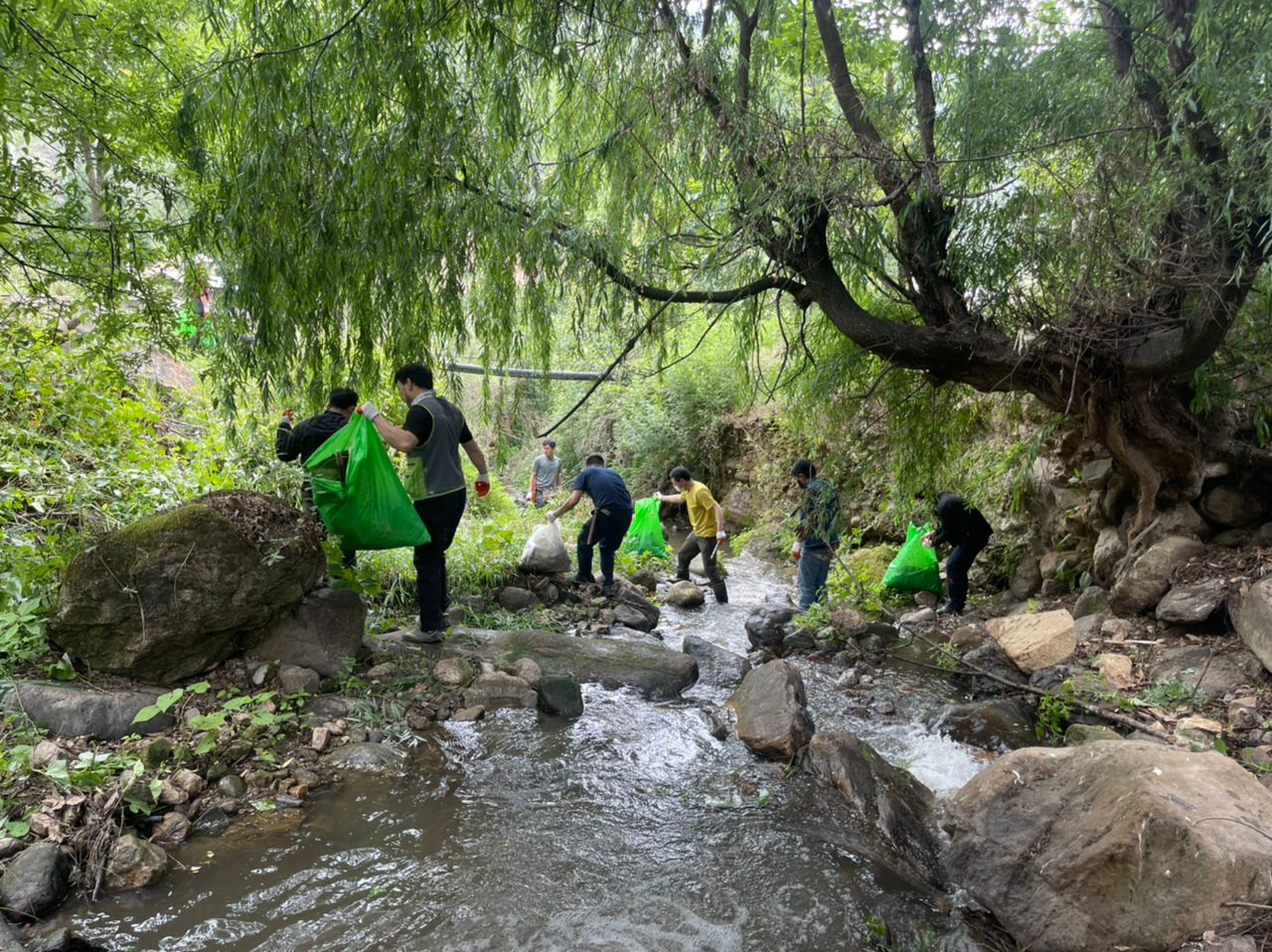 Bhutan Power Corporation Limited